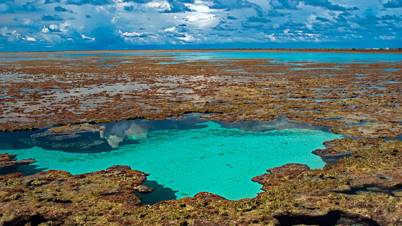 Segredos do Oceano: conheça o atol - Orla Rio